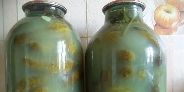 Bakit ang mga pipino sa mga garapon ay sumabog: ano ang dapat gawin upang maiwasan ang pagsabog, video 10014_1