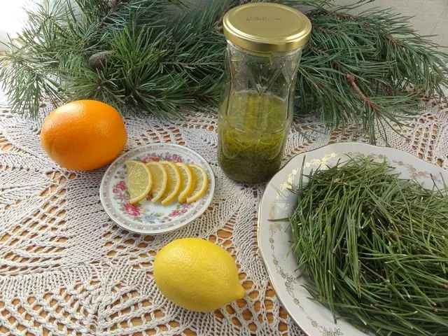 Coniferous kvass nyob hauv tsev: daim ntawv qhia ua tooj liab, tshuaj xyuas 10072_4