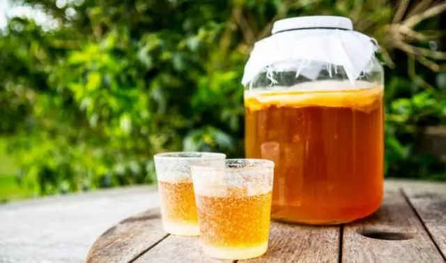 เป็นไปได้ไหมสำหรับ kombucha: มีแผลในกระเพาะอาหาร, แผลในลำไส้เล็กส่วนต้น, เพิ่มความเป็นกรด, โรคกระเพาะ, วิธีดื่มอย่างถูกต้อง 10075_1