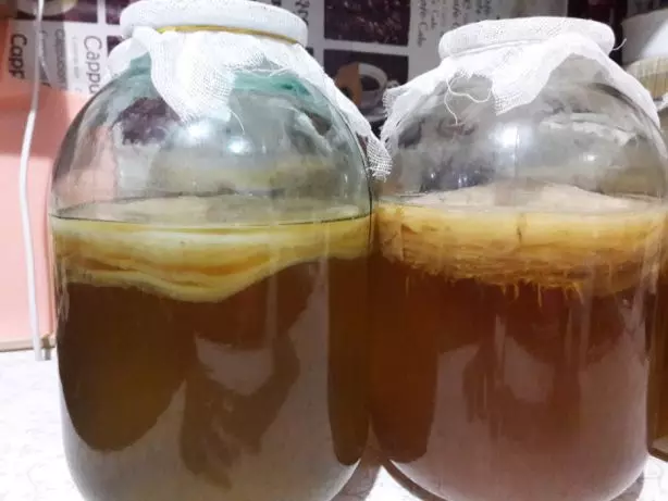 Apa bisa kanggo kombucha: kanthi ulkus weteng, ulkus duodenal, tambah asam, gastritis, ngombe kanthi bener 10075_3