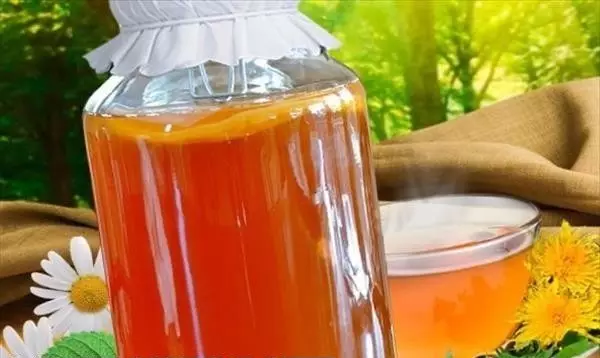 Miyay suurtogal u tahay kombucha: boogaha caloosha, boogaha duodenal, oo leh aashitada korodhay, gastritis, sida si sax ah loo cabbo 10075_5