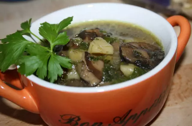 Frësch Hunneg Champignonsuppe: Rezepter mat Fotoen, wéi lecker ze kachen 10098_1