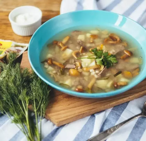 Frësch Hunneg Champignonsuppe: Rezepter mat Fotoen, wéi lecker ze kachen 10098_10