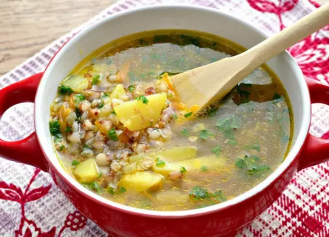 Frësch Hunneg Champignonsuppe: Rezepter mat Fotoen, wéi lecker ze kachen 10098_22