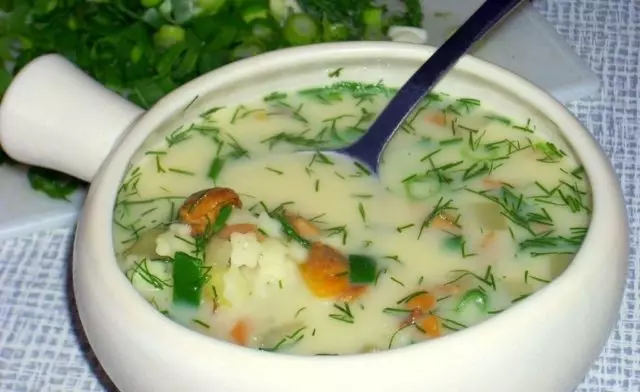 Frësch Hunneg Champignonsuppe: Rezepter mat Fotoen, wéi lecker ze kachen 10098_6