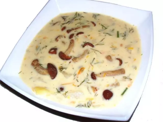 Frësch Hunneg Champignonsuppe: Rezepter mat Fotoen, wéi lecker ze kachen 10098_9