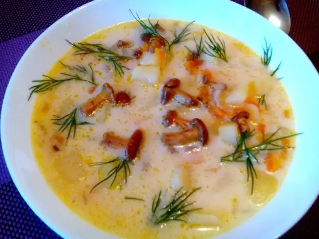 Sopa de chanterelle congelada: como cozinhar, receitas com fotos 10102_6