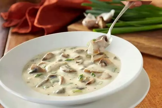 I-creamy porcini mushroom isuphu: iiresiphi ezivela komisiwe, ezinqabileyo, ezintsha 10108_5