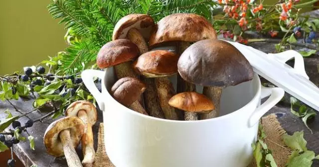 신선한 boletus 수프 : 요리 방법, 요리법, 조리법 10117_13