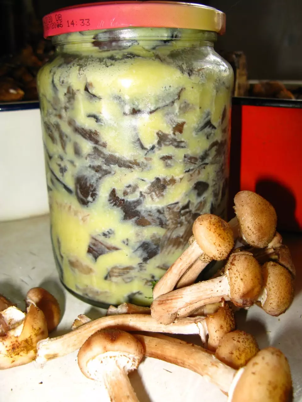 Hoeveel verse champignons koken om te frituren: recepten voor voorbereidingen voor de winter, met uien, met ghee, in potten 10167_16