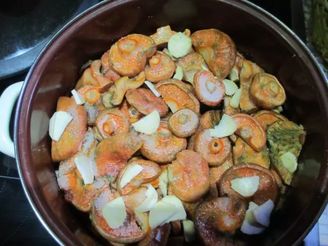 Mga simpleng recipe para sa inasnan na mga takip ng gatas na safron para sa taglamig: mga pamamaraan ng pag-aasin 10170_4