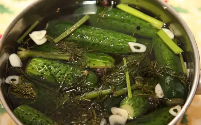 lightly salted cucumbers for the winter