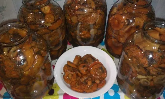 Paano mag-atsara ng mga kabute para sa taglamig sa isang mainit na paraan: mga recipe ng pagluluto 10183_3