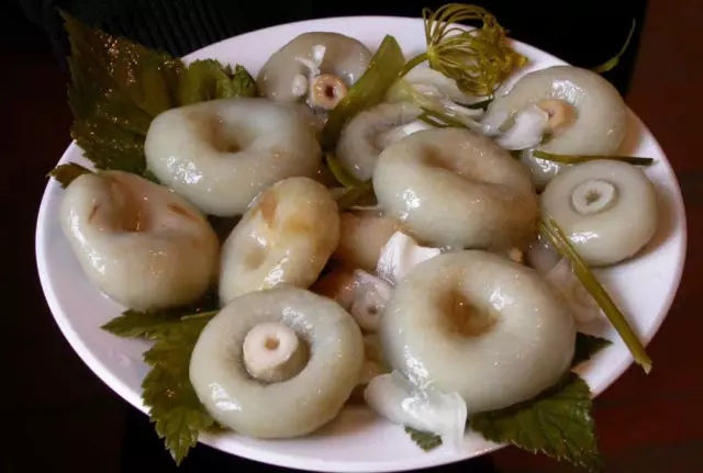 Koude beitsen van witte melkchampignons voor de winter: eenvoudige recepten met foto's, video's, in potten, zodat ze knapperig en geurig zijn 10222_3