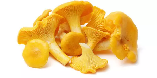 Chanterelles کان parasites: ترڪيبون tinctures لاءِ ، ڪيئن و toجن ، تبصرا 10255_1