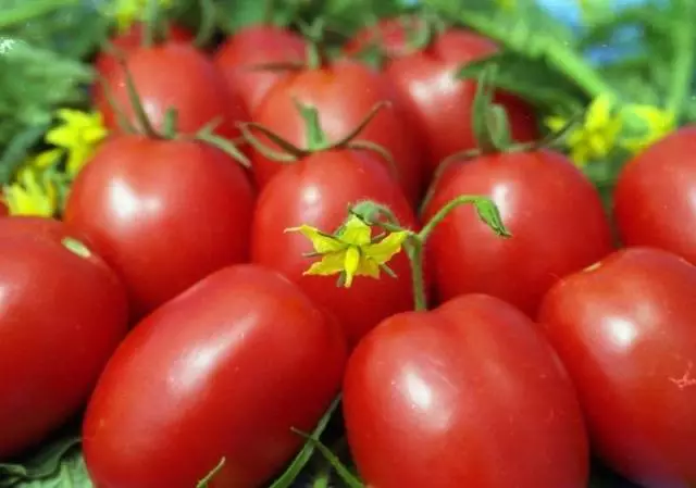 Tomato Diabolic F1: mga katangian at paglalarawan ng pagkakaiba-iba 10390_1