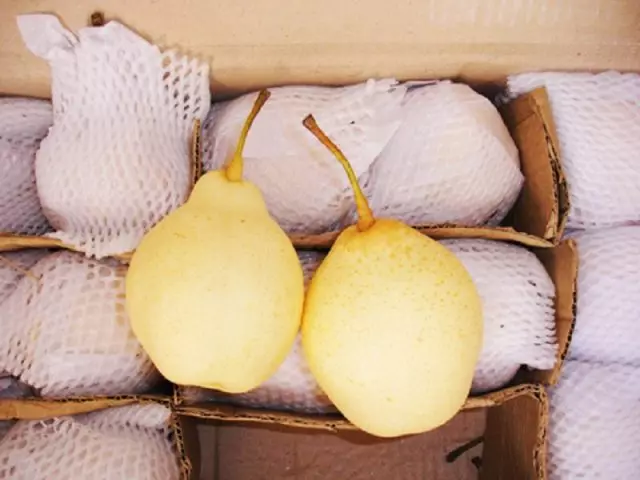 Pear ea China: moo e holang, khalori, melemo, lipepe, linepe 10401_10