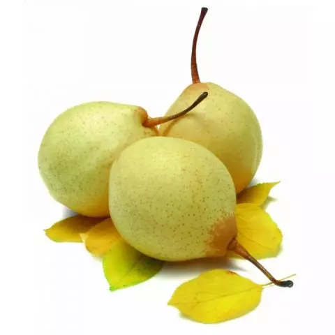 Pear Shiine: meesha uu ka baxo, waxa ku jira kalooriga, faa'iidooyinka, cuntooyinka, sawirrada 10401_3