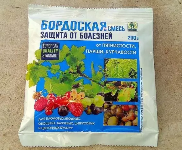 Sarrafa cherries a cikin bazara daga cututtuka da kwari: lokacin da yadda ake aiwatarwa 10458_7