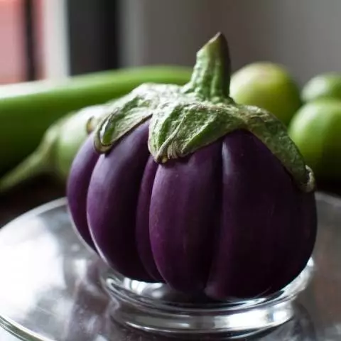 Kacha mma iche na mkpụrụ nke eggplant 10689_17