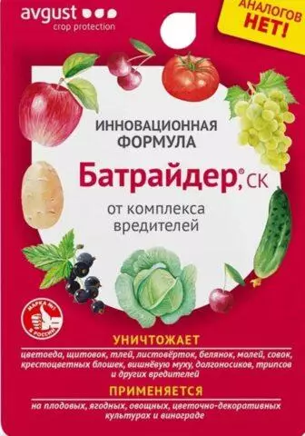 Ножници върху касис: снимки, методи на борба, описание на това как да се лекува 1071_3