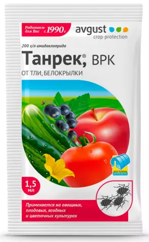 Ножници върху касис: снимки, методи на борба, описание на това как да се лекува 1071_5