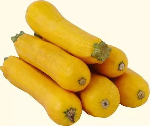 Zucchini Yasmin F1: bayanin, hoto, sake dubawa 10767_2