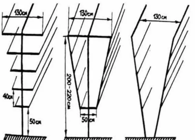 Ṣe trellis funrararẹ fun awọn eso-ajara ni orilẹ-ede naa: fọto, awọn iwọn, aworan apẹrẹ, awọn yiya, fidio 107_3