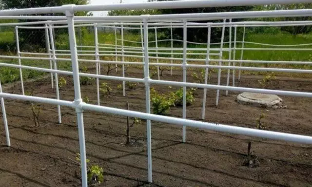 Do-it-yourself grape trellis in the country: photo, dimensions, diagram, drawings, video 107_9