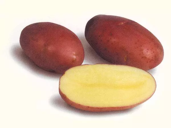 Potatoes Labella: barietate deskribapena, argazkiak, iritziak 10846_4