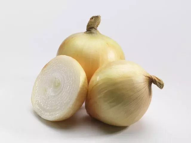 Onion Setton: deskripsi varietas, foto, ulasan, penanaman, dan perawatan 10877_3