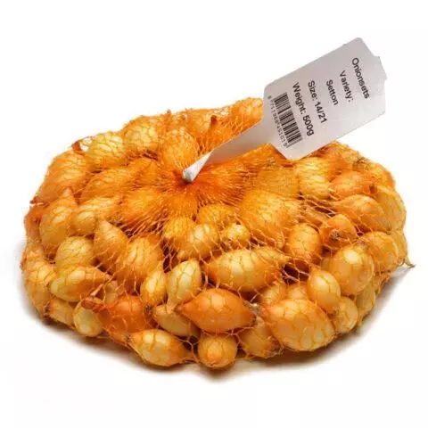 Onion Setton: mô tả đa dạng, hình ảnh, đánh giá, trồng và chăm sóc 10877_5