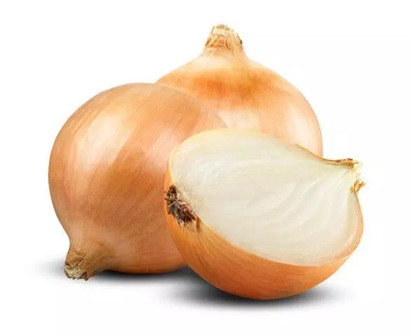 Onion Troy F1: faʻamatalaga eseese, ata, iloiloga, totoina ma le tausiga, vitio 10878_2