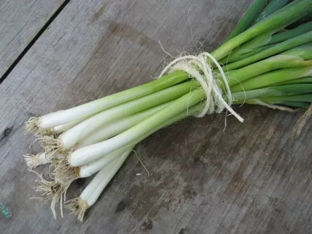 Wanneer moet je een lente-ui planten voor de winter? 10917_12