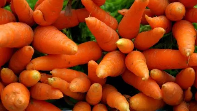 Mga lahi sa carrot nga adunay mga litrato ug paghulagway 10955_1