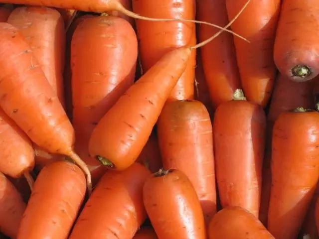 Mga lahi sa carrot nga adunay mga litrato ug paghulagway 10955_10