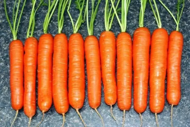 Mga lahi sa carrot nga adunay mga litrato ug paghulagway 10955_19