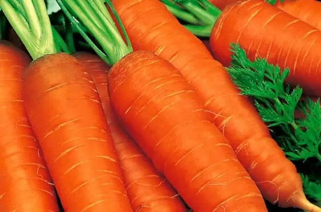 Mga lahi sa carrot nga adunay mga litrato ug paghulagway 10955_24