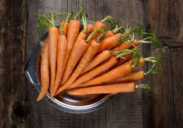 Mga lahi sa carrot nga adunay mga litrato ug paghulagway 10955_5