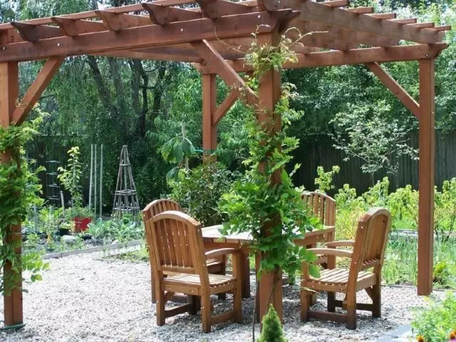 DIY grape pergola: ua los ntawm ntoo, hlau, duab, kos duab 109_21