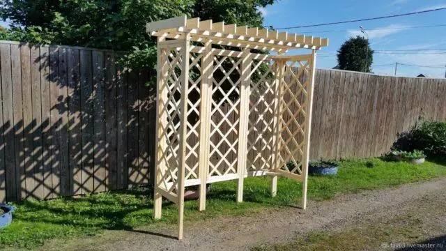 DIY grape pergola: ua los ntawm ntoo, hlau, duab, kos duab 109_3