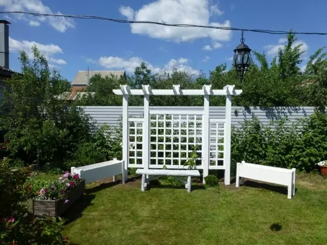 DIY grape pergola: ua los ntawm ntoo, hlau, duab, kos duab 109_8