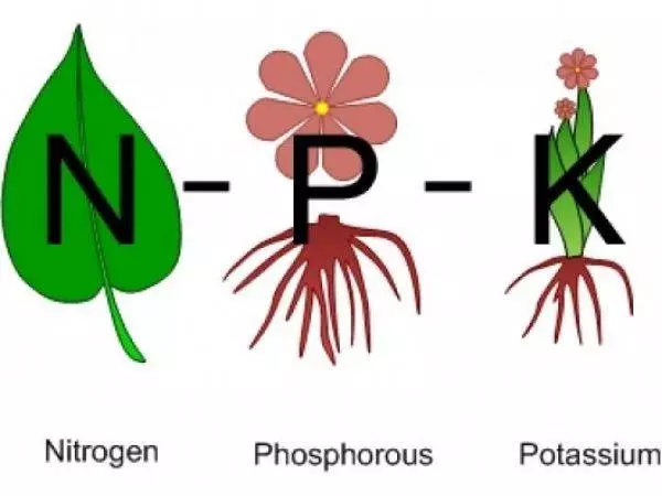 Nitrogen fetiraiza yemakango 11018_10