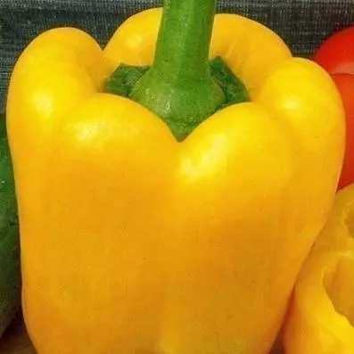 Pepper Golden Miracle: caracteristici și descrierea soiului 11125_4