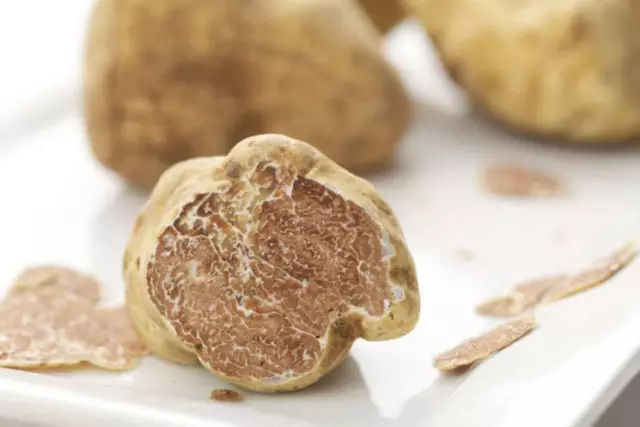 Jus truffle kanggo mripat: tinjauan saka dhokter lan wong, indikasi lan kontraindikasi kanggo digunakake 1112_1