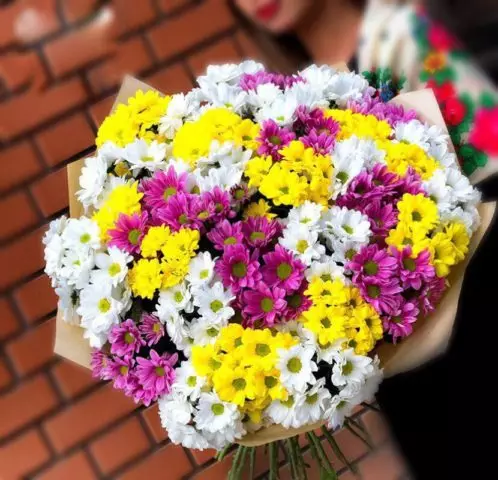 Ang Chrysanthemum gikan sa usa ka bouquet: kung giunsa ang pag-root sa mga cuttings, pagtanum ug pag-atiman sa balay 11308_1