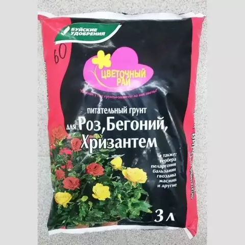 Ang Chrysanthemum gikan sa usa ka bouquet: kung giunsa ang pag-root sa mga cuttings, pagtanum ug pag-atiman sa balay 11308_5