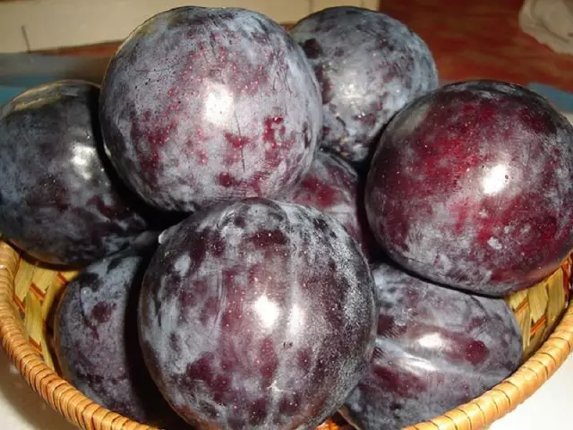 Plum Angelina: iba't ibang paglalarawan, larawan, repasuhin 11513_3