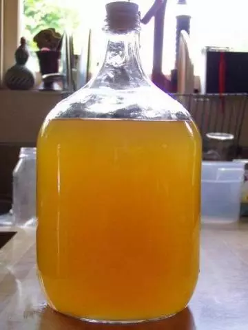 Sea buckthorn wine at home: a simple recipe 11616_1