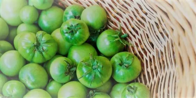 Green tomato recipe without vinegar 11726_2